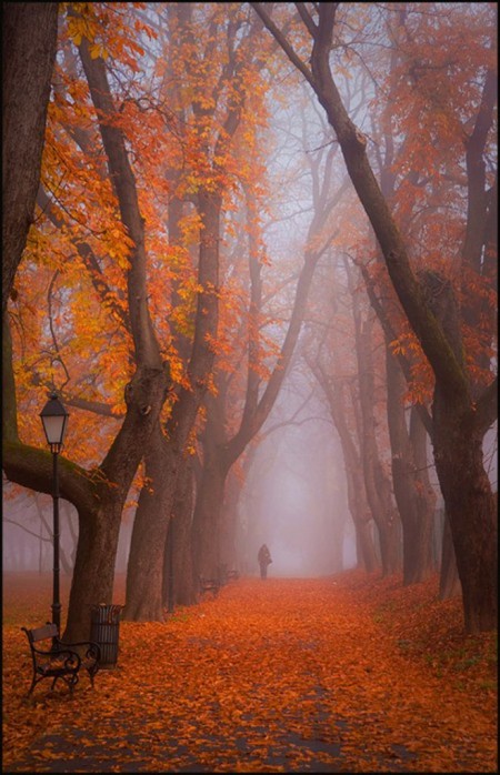 16 Beautiful Photos of Incredible Fall - BeautyHarmonyLife