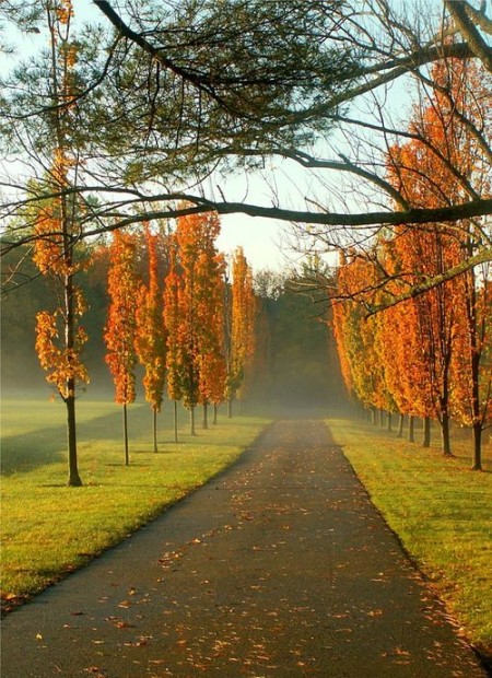 15 Inspirational Autumn Pictures - BeautyHarmonyLife