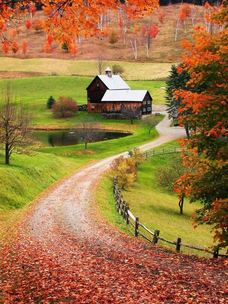 15 Inspirational Autumn Pictures - BeautyHarmonyLife