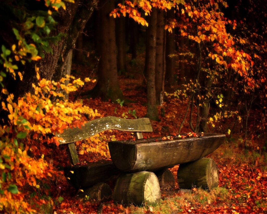 15 Inspirational Autumn Pictures - BeautyHarmonyLife