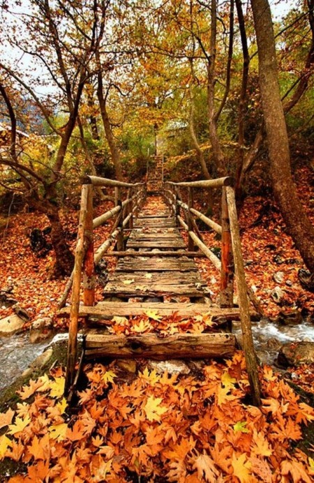 15 Inspirational Autumn Pictures - BeautyHarmonyLife