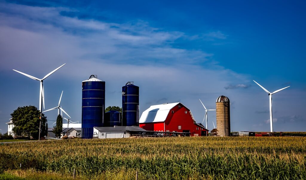 The Great Roundup Ready Crop Debate – What You Need To Know ...