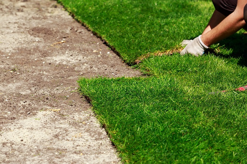 Know the Advantages of Having A Garden Turf and How to Maintain It ...