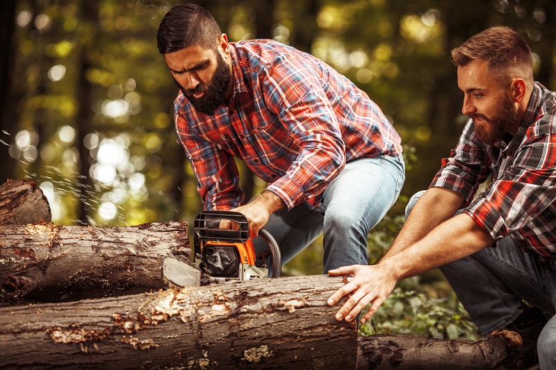Reasons To opt For Tree Removal Services - BeautyHarmonyLife