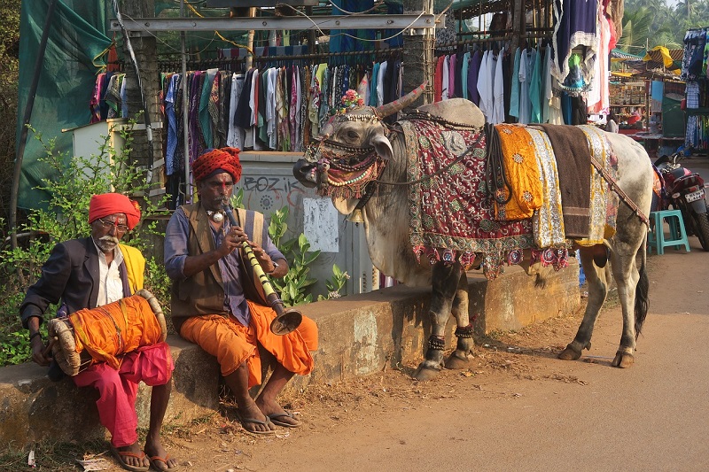 A Travel Guide To India’s Ultimate Party Destination: Goa ...