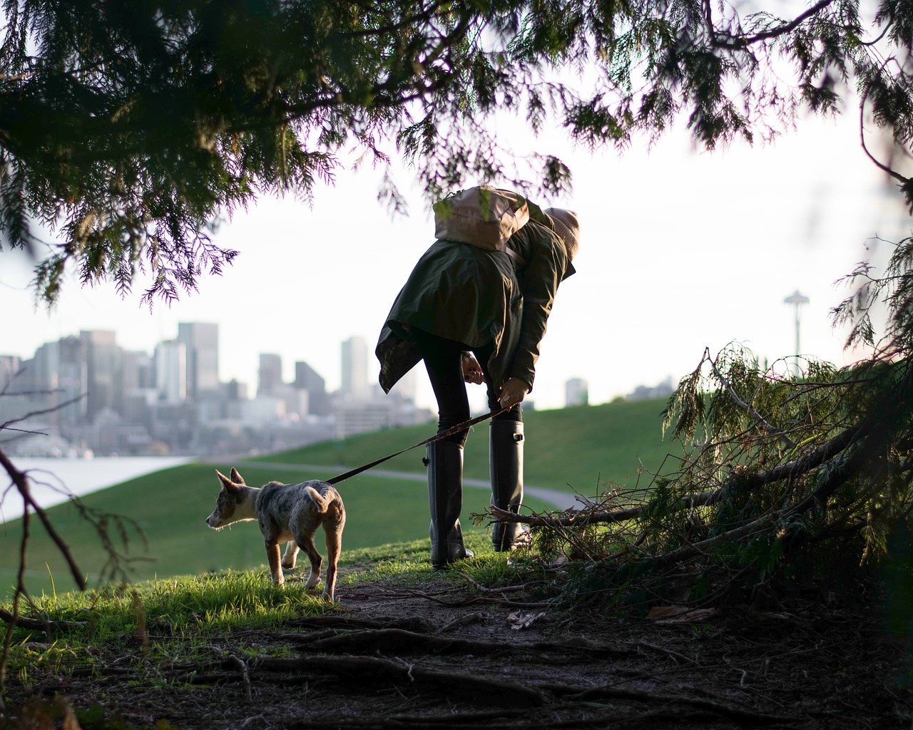 10 Most Popular Dog-Friendly Places in the World - BeautyHarmonyLife