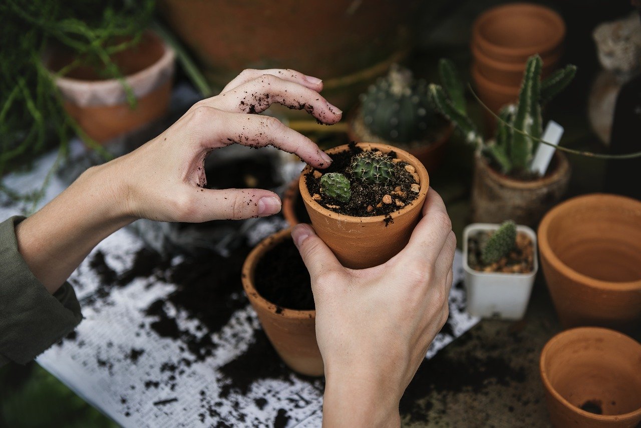 Planting 101 For Those Who Don't Have The Time - BeautyHarmonyLife