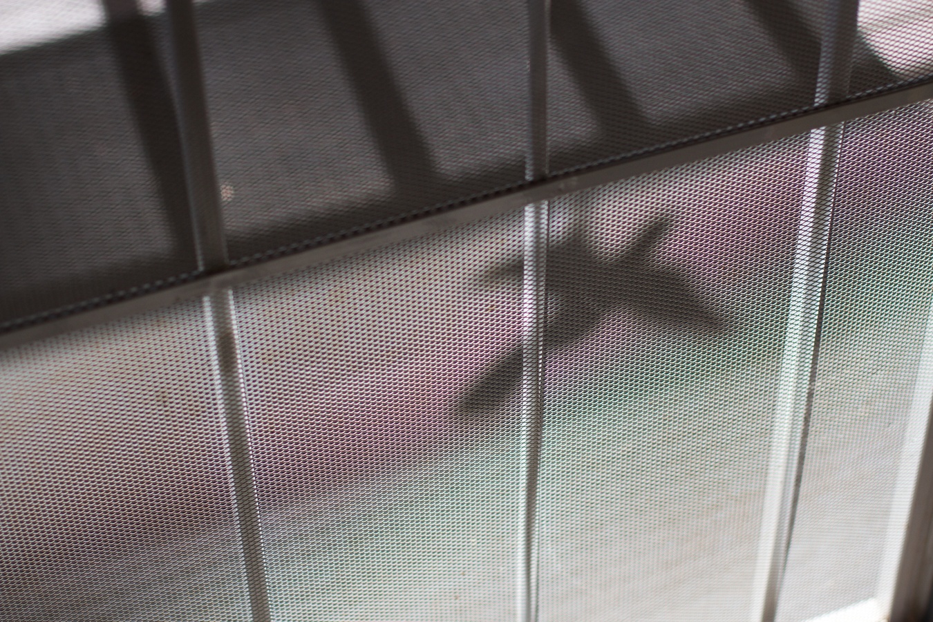 6 of the Best Ways to Clean Window Screens for Sparkly Clean Windows ...