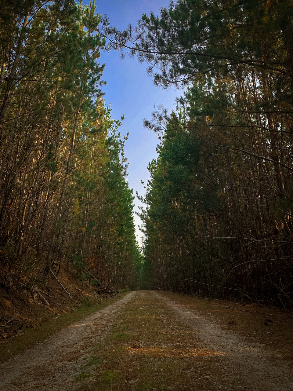 Australian Cycling Tour: Most Beautiful Routes - BeautyHarmonyLife