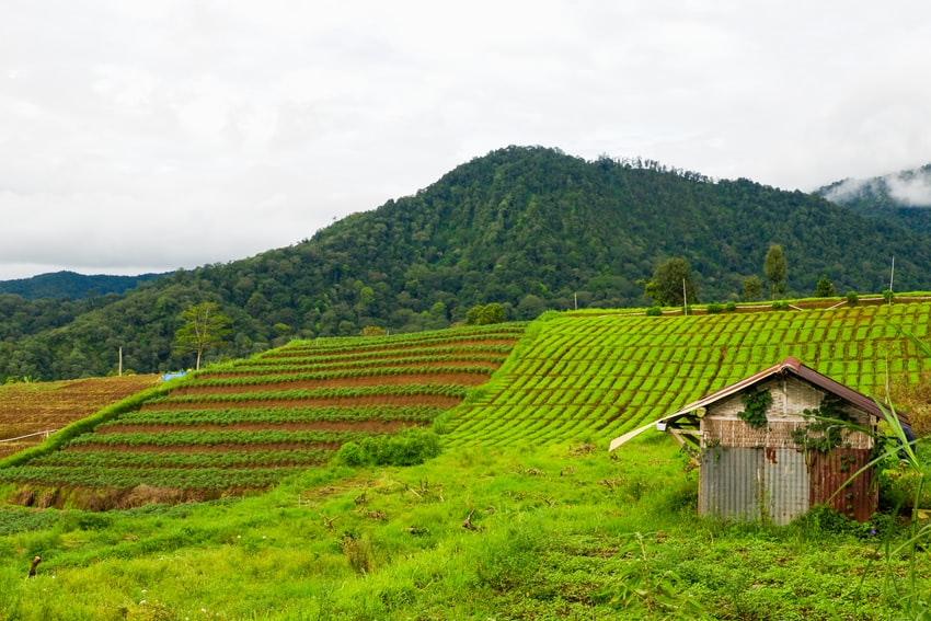 Buying Land to Grow a Garden: 5 Tips - BeautyHarmonyLife