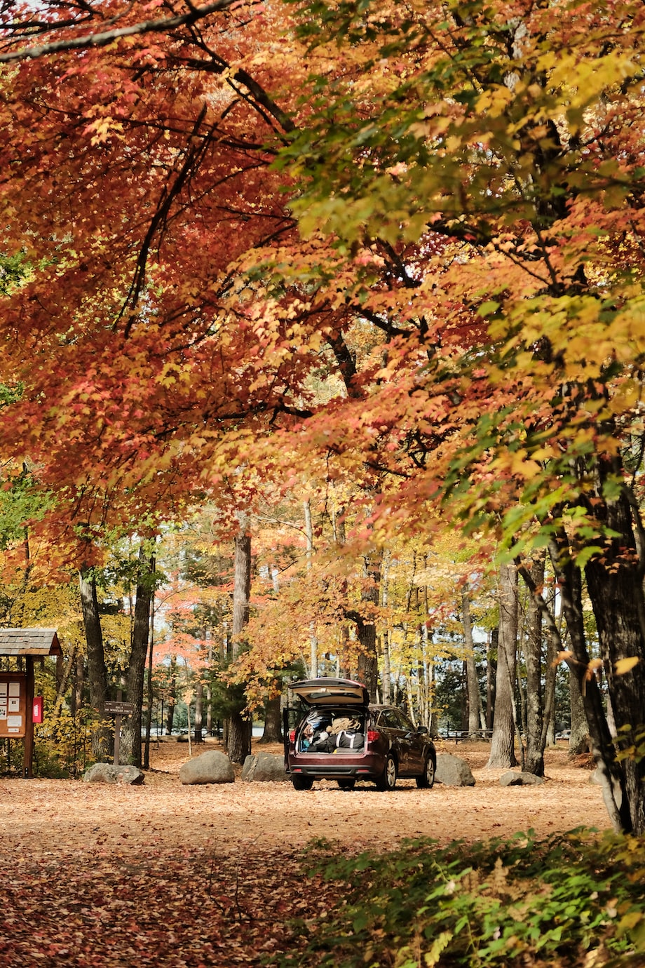 Fun Family Fall Camping Ideas and Activities - BeautyHarmonyLife