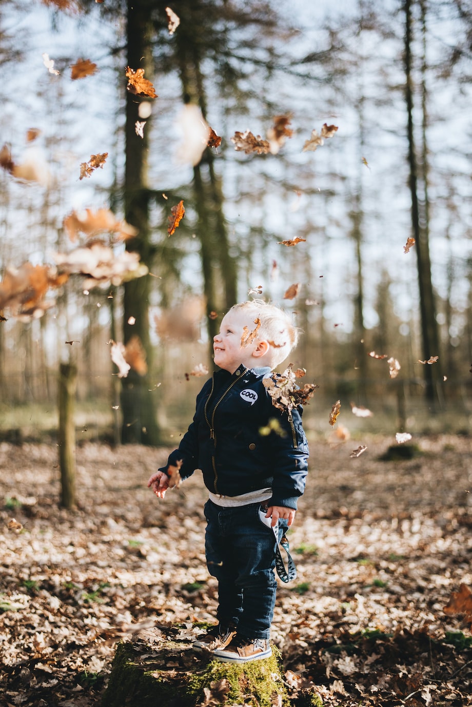 Fun Family Fall Camping Ideas and Activities - BeautyHarmonyLife