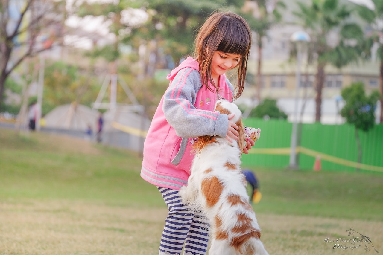 The Top 7 Tips for Encouraging Your Child's Interest in Animals and ...