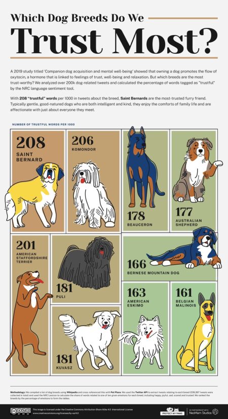 The World’s Most Loved and Trusted Dog Breeds - BeautyHarmonyLife