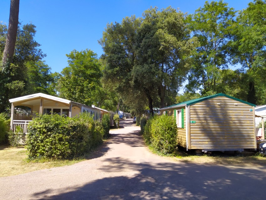 The Art of Minimalist Living: Transforming a Flatbed Trailer into a ...